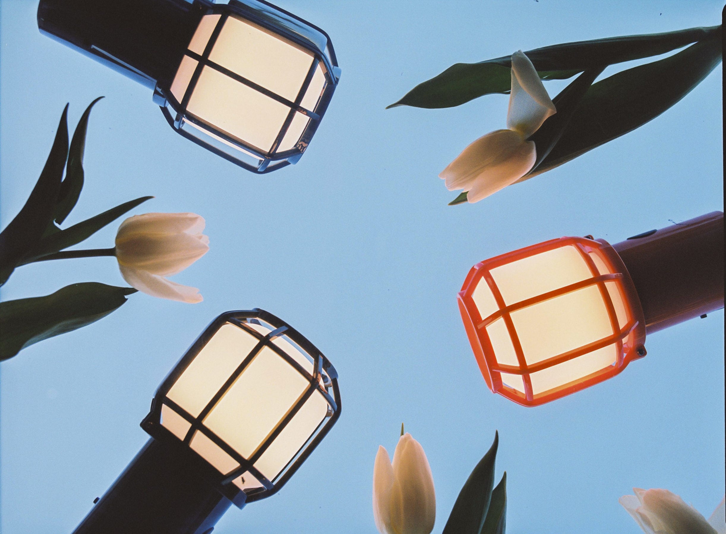 The blooming light - Marset